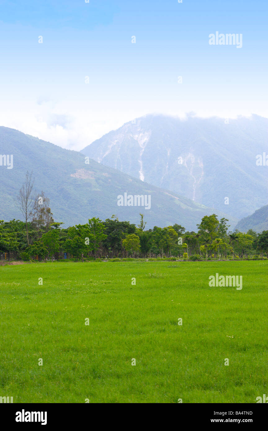 Green field with trees and mountains in background Stock Photo - Alamy