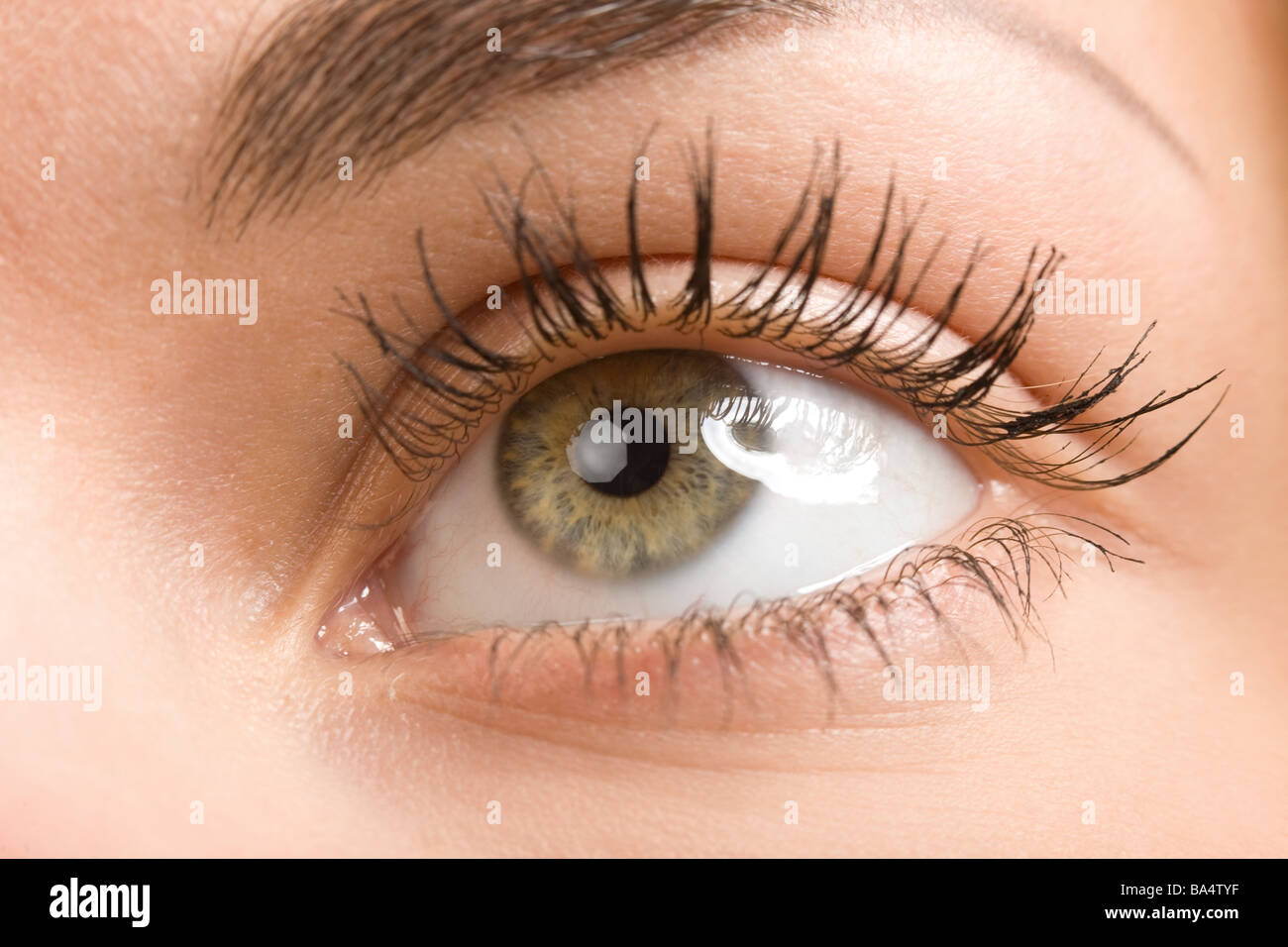 Female wide open eye long hi-res stock photography and images - Alamy