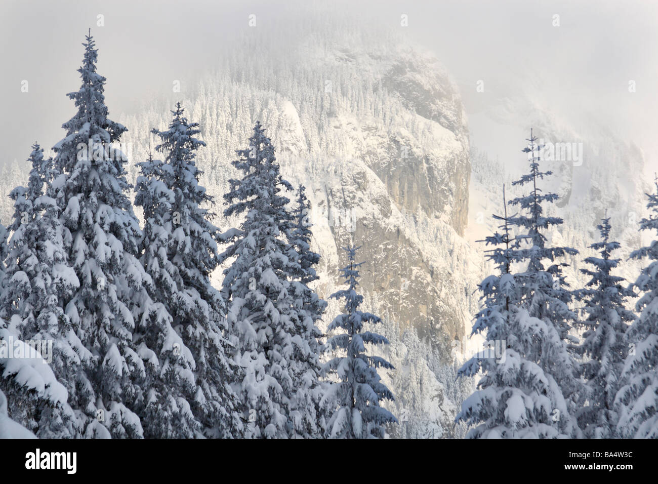 Tatra hi-res stock photography and images - Alamy