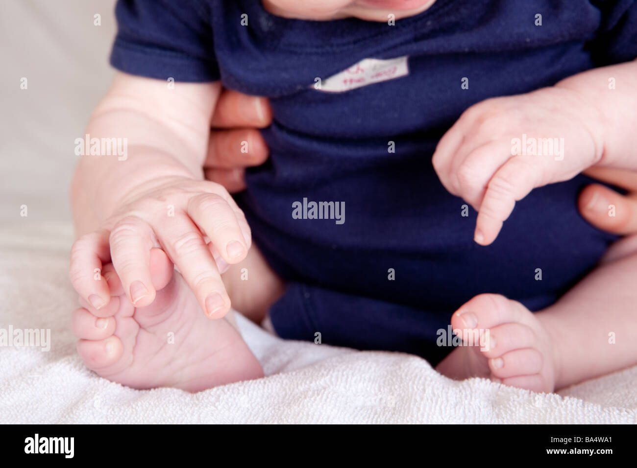 Old three toes High Resolution Stock Photography and Images - Alamy