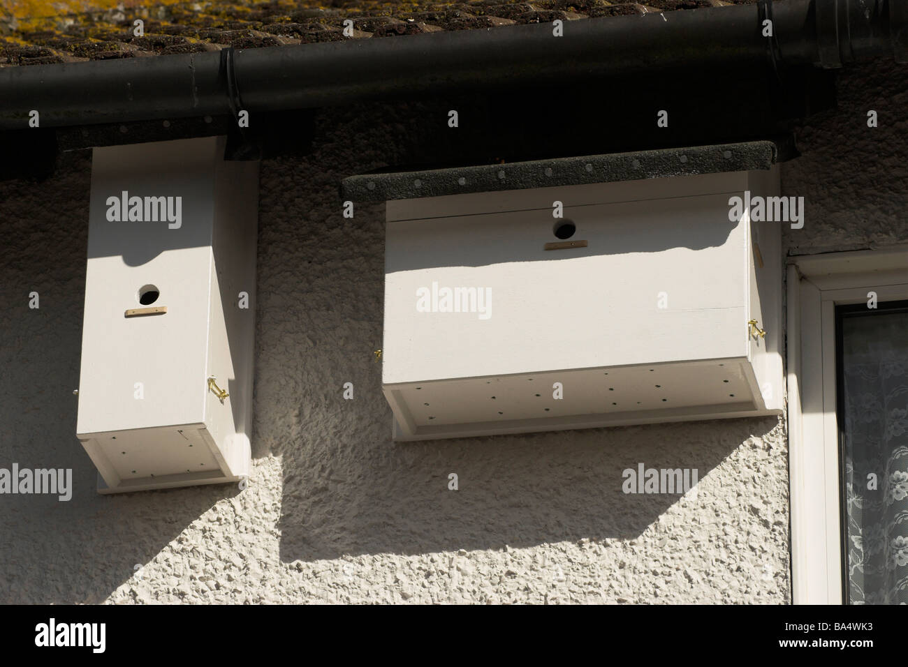Custom built Sparrow boxes Stock Photo - Alamy