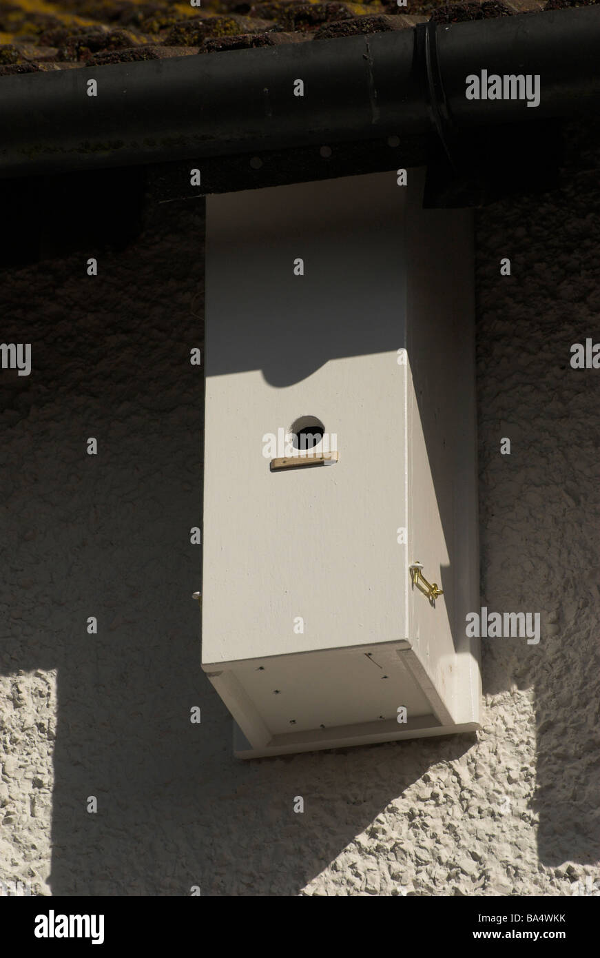 Custom built Sparrow box Stock Photo - Alamy