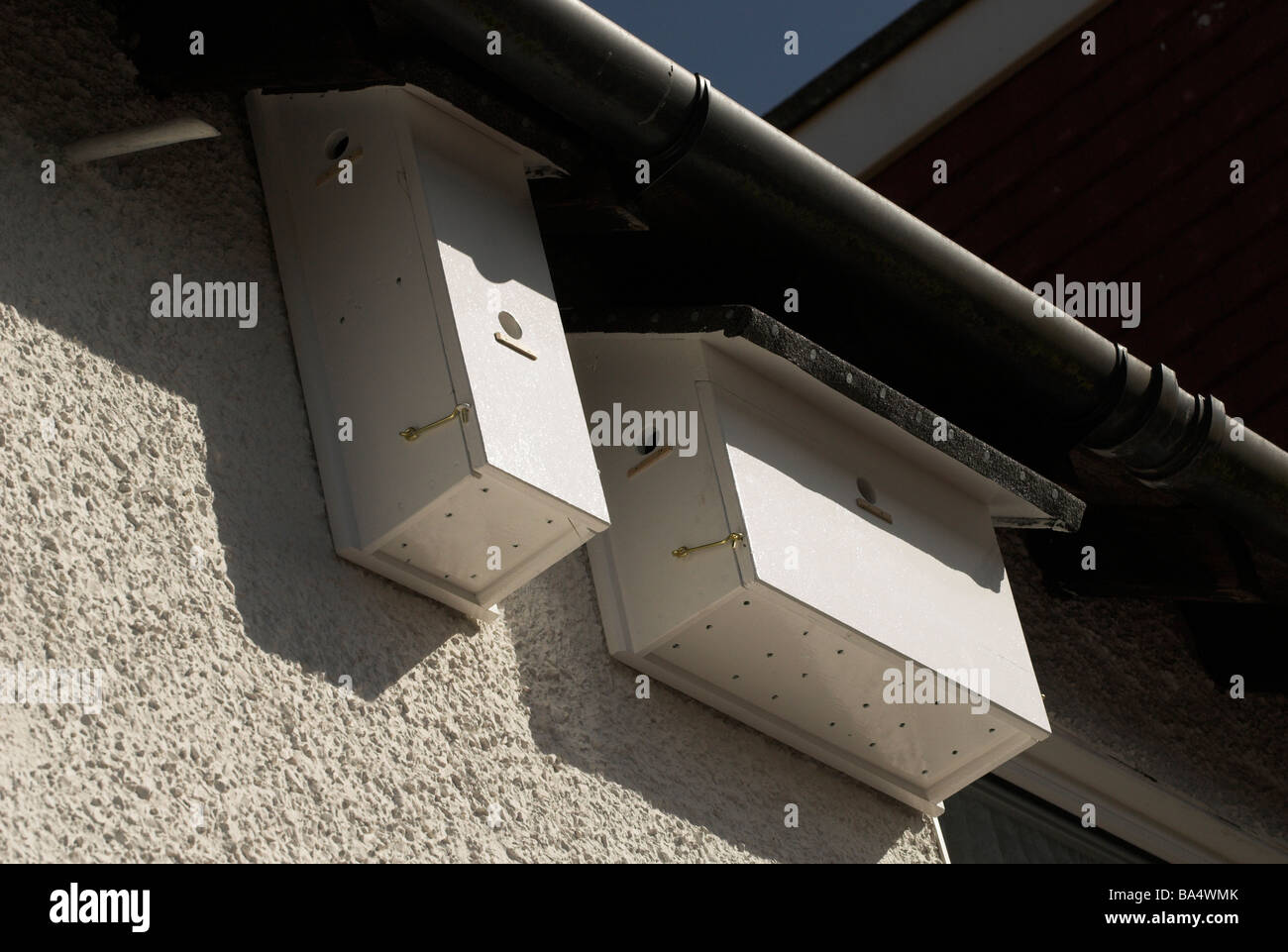 Custom built Sparrow boxes Stock Photo - Alamy
