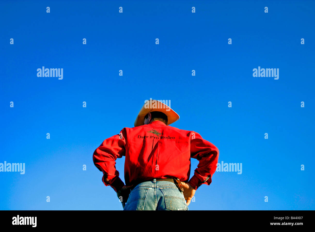 Rodeo cowboy surveys the field in the wide open spaces of the southwest ...