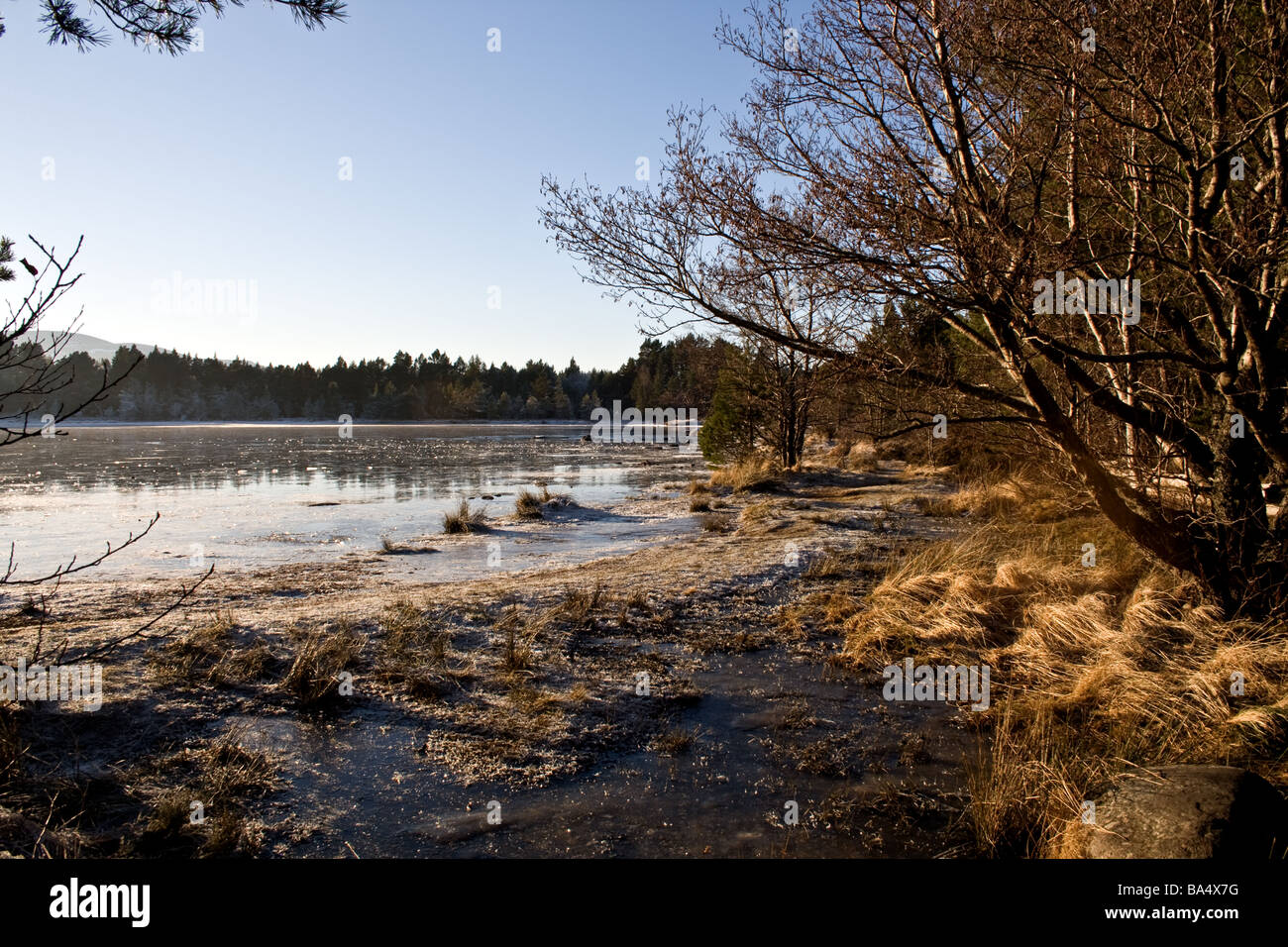 Frozen Loch Morlich in the winter by the Cairngorm mountains in the ...