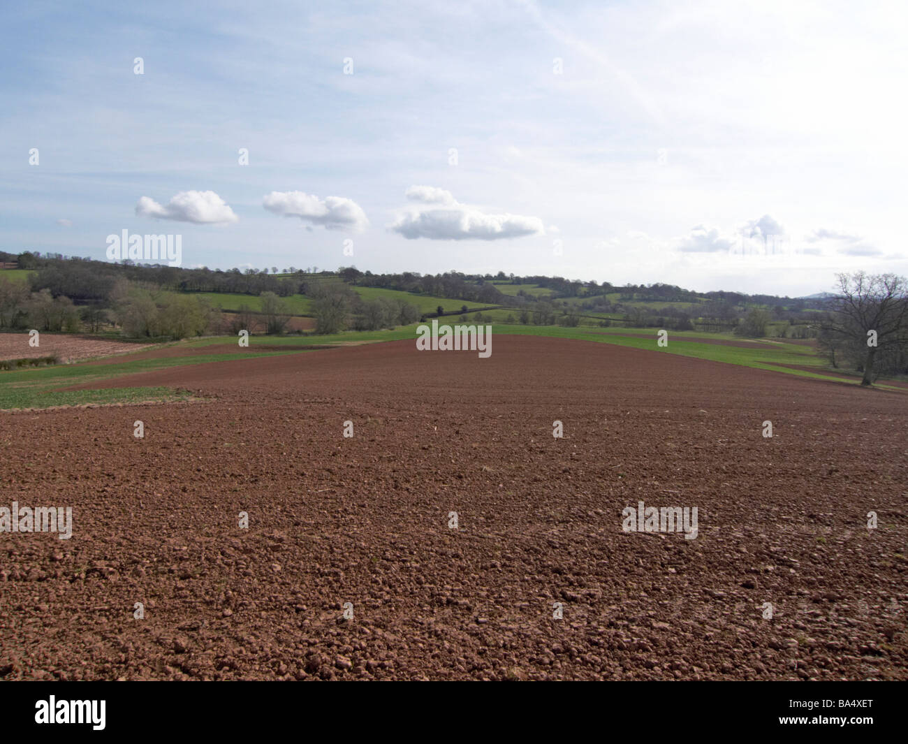 freshly plowed field in the country Stock Photo - Alamy