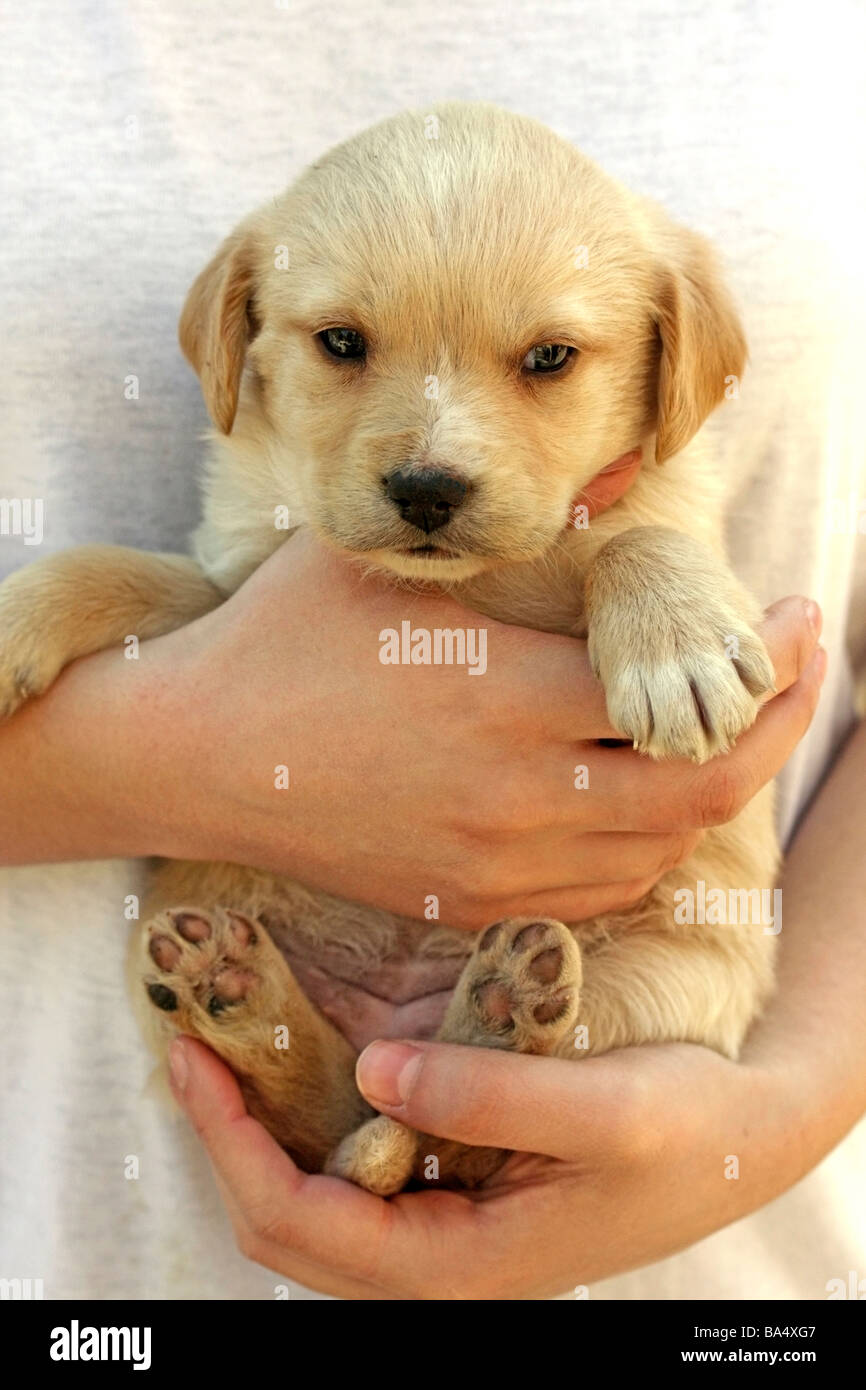 Human pup hi-res stock photography and images - Alamy