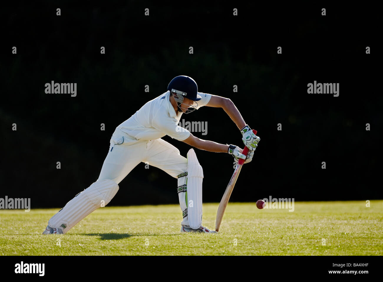 Cricket batsman hitting cricket ball hi-res stock photography and ...