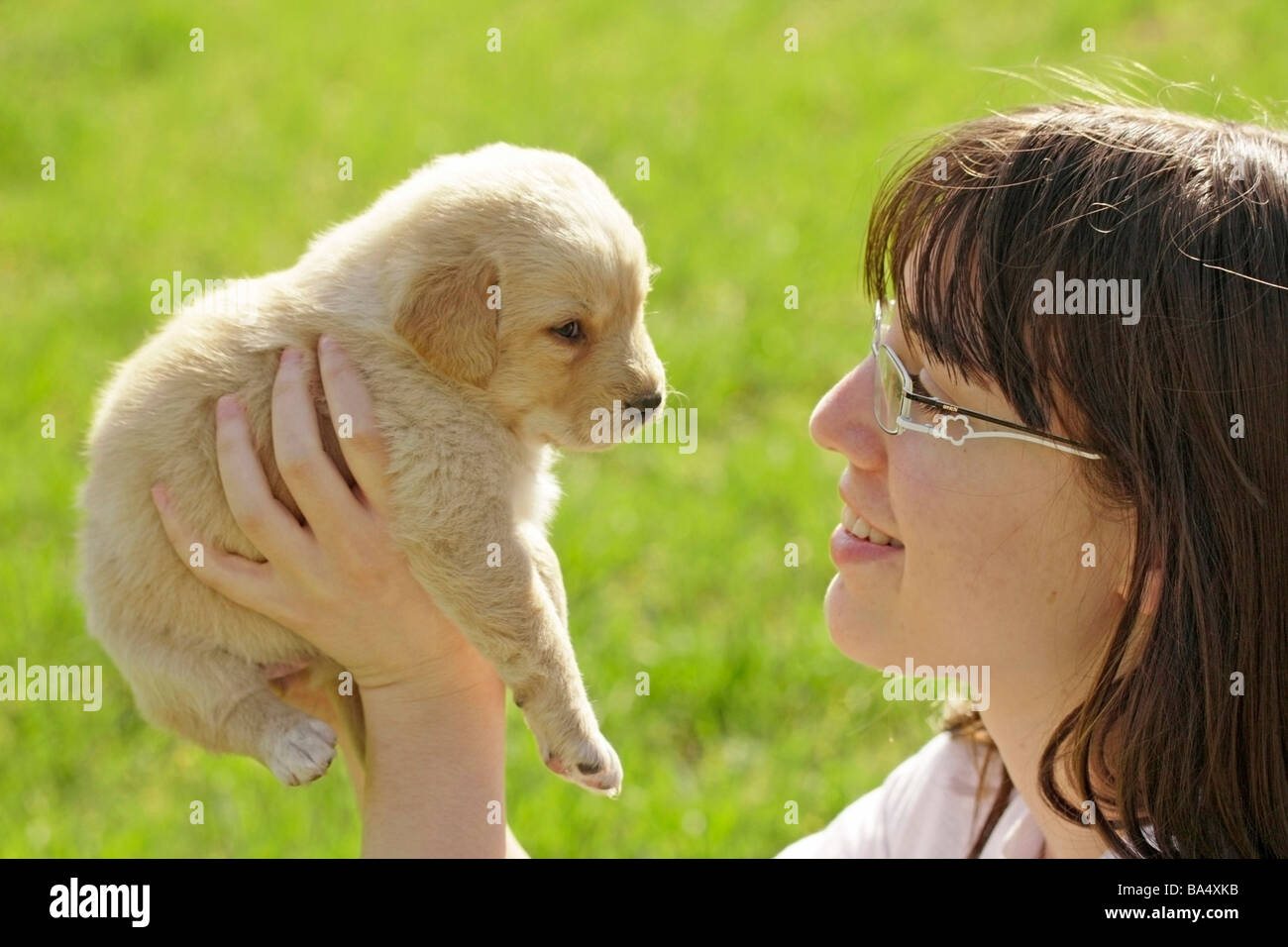 Labrador puppy and girl Stock Photo - Alamy