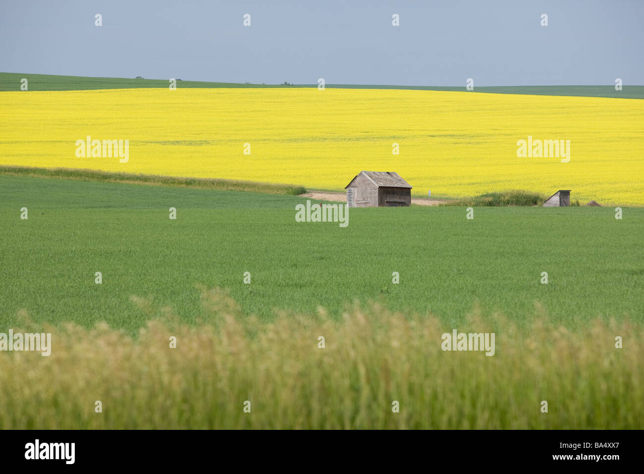 Hut in Calgary, Canada Stock Photo - Alamy