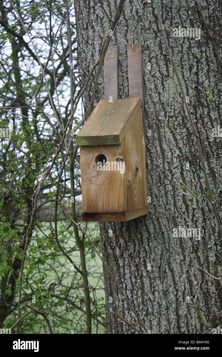 Birds help hi-res stock photography and images - Alamy