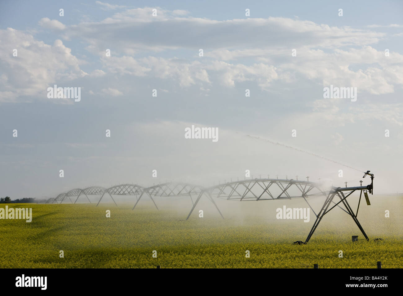 Sprinkler Watering in the Prairie Stock Photo - Alamy