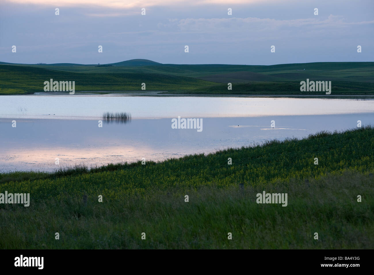 Prairie view hi-res stock photography and images - Alamy
