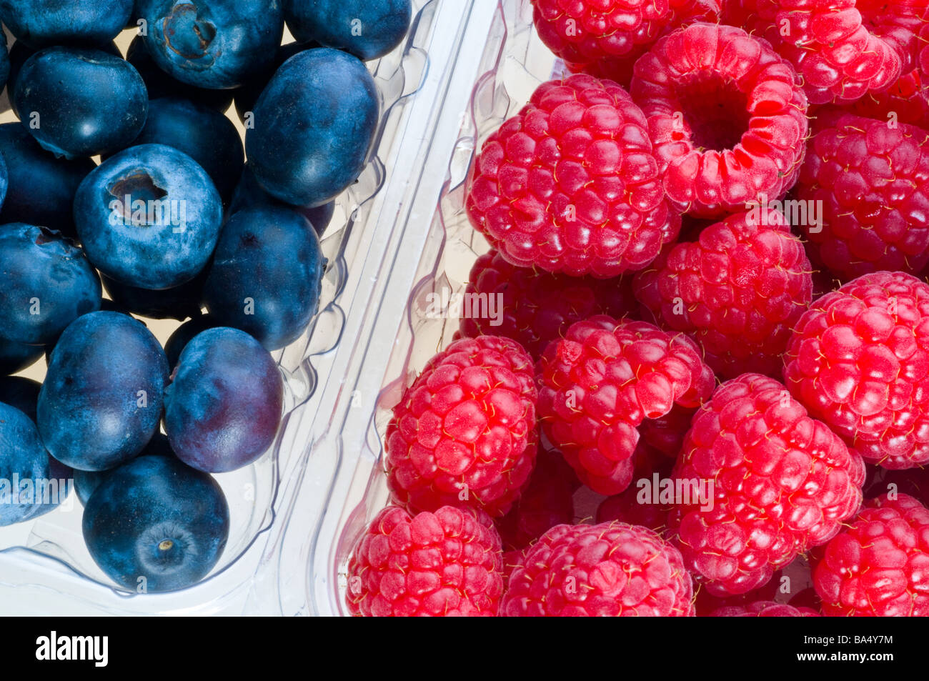 Fresh bright berries of a raspberry Stock Photo - Alamy