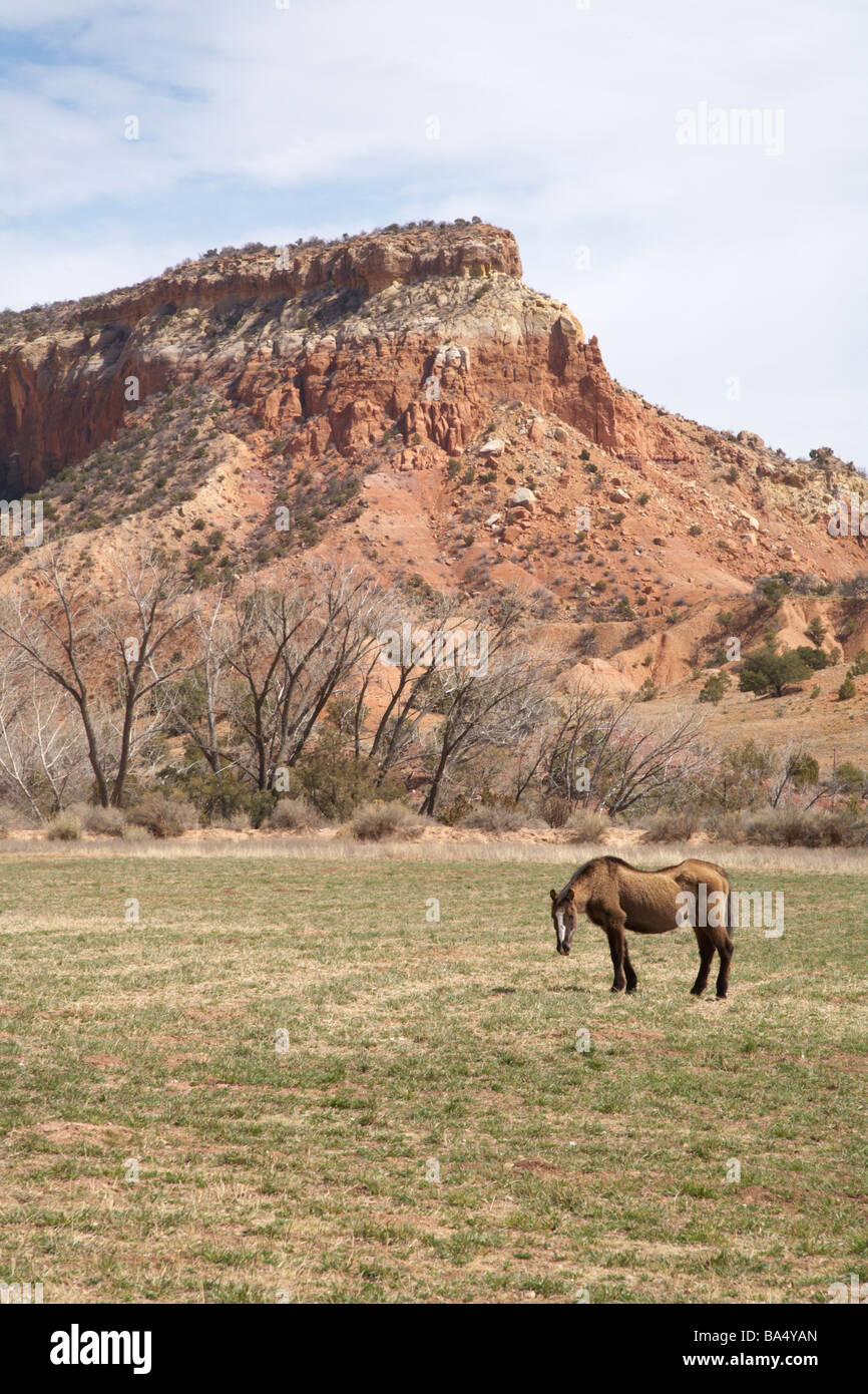 Ranch in USA New Mexico, Abiquiu near Santa Fe Stock Photo - Alamy