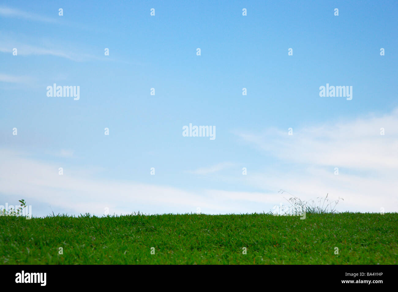 Green field with clouds above Stock Photo - Alamy