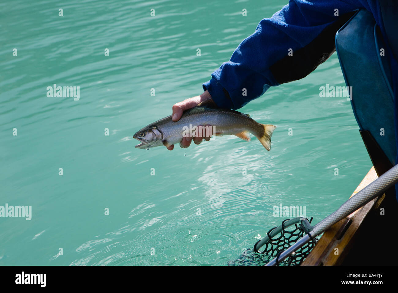 Man Holding Fish in Hand Stock Photo - Alamy