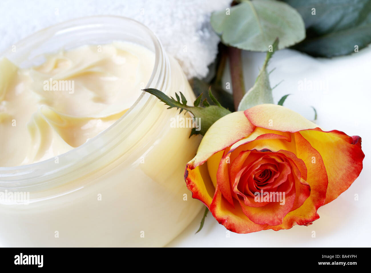 Orange and cream roses hi-res stock photography and images - Alamy