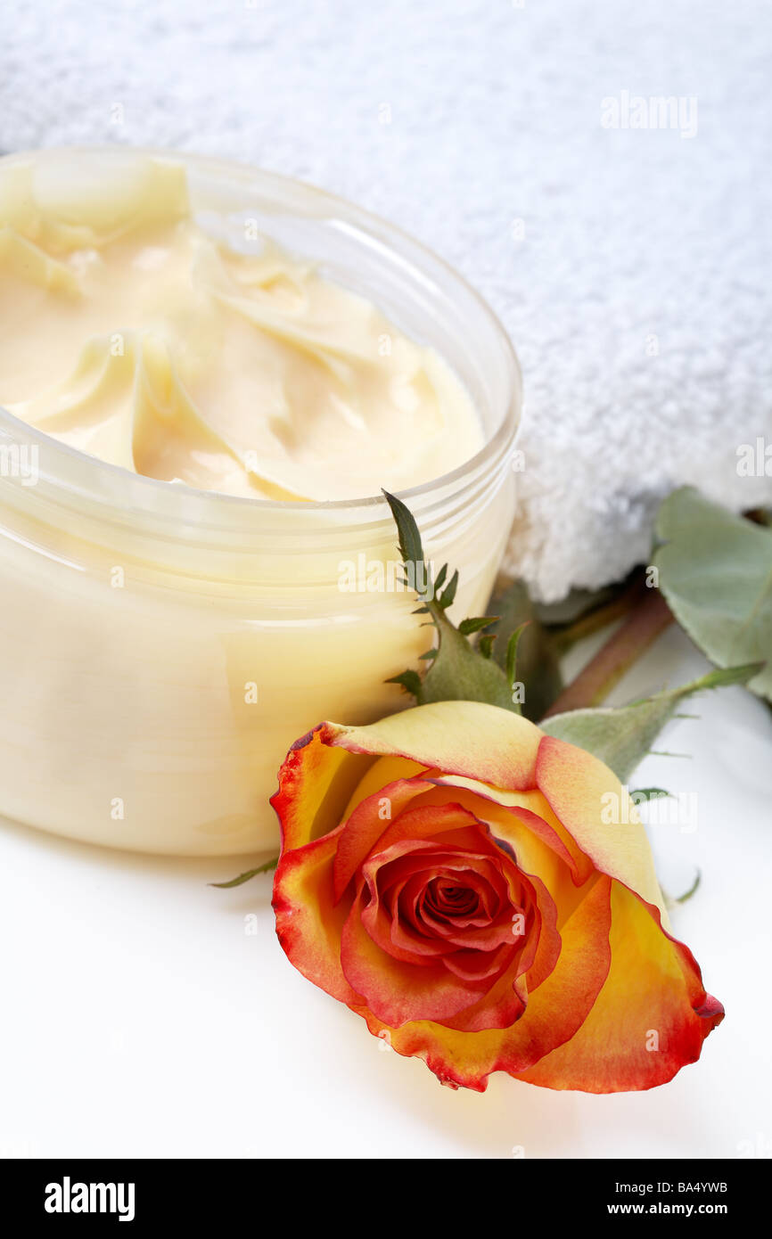 Creams roses hi-res stock photography and images - Alamy