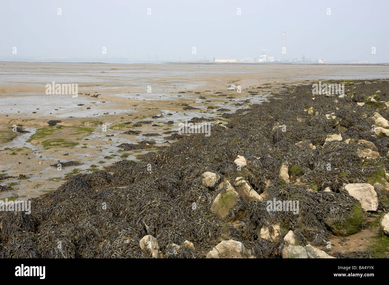 Medway estuary hi-res stock photography and images - Alamy