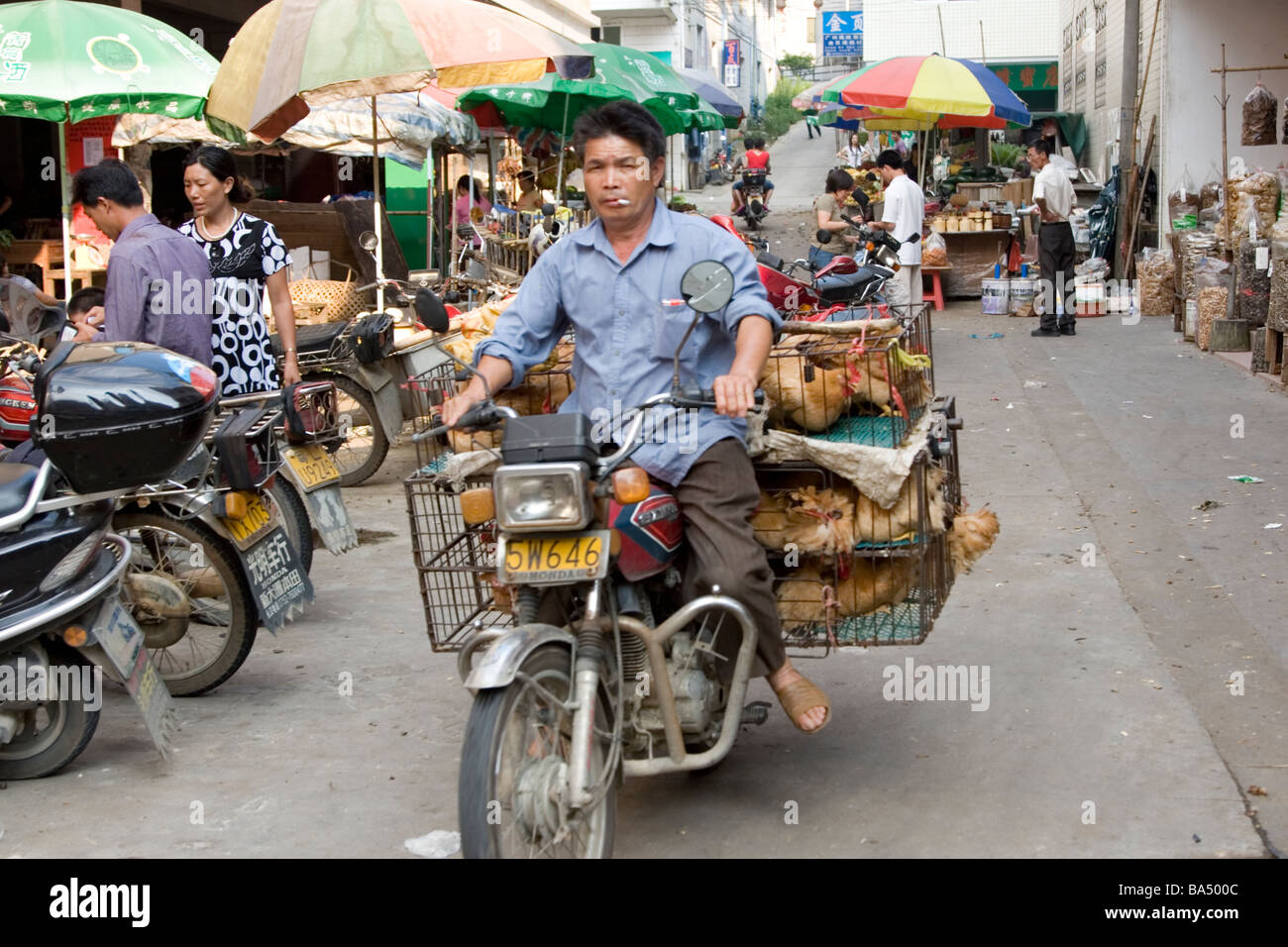 Chicken transport hi-res stock photography and images - Alamy