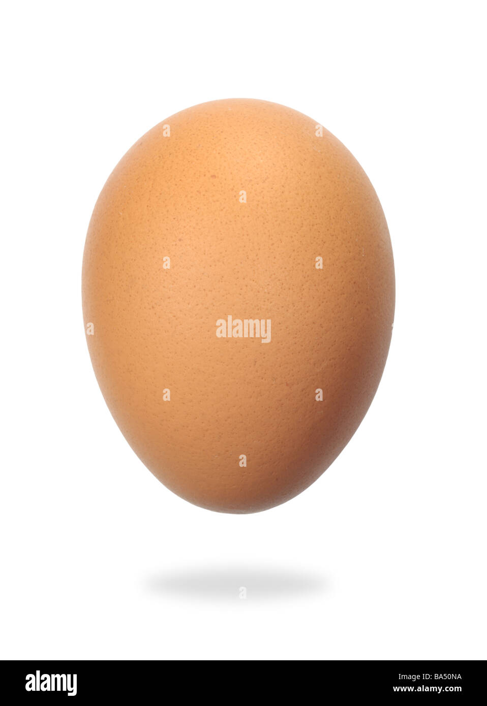 Deep fly Cut Out Stock Images & Pictures - Alamy