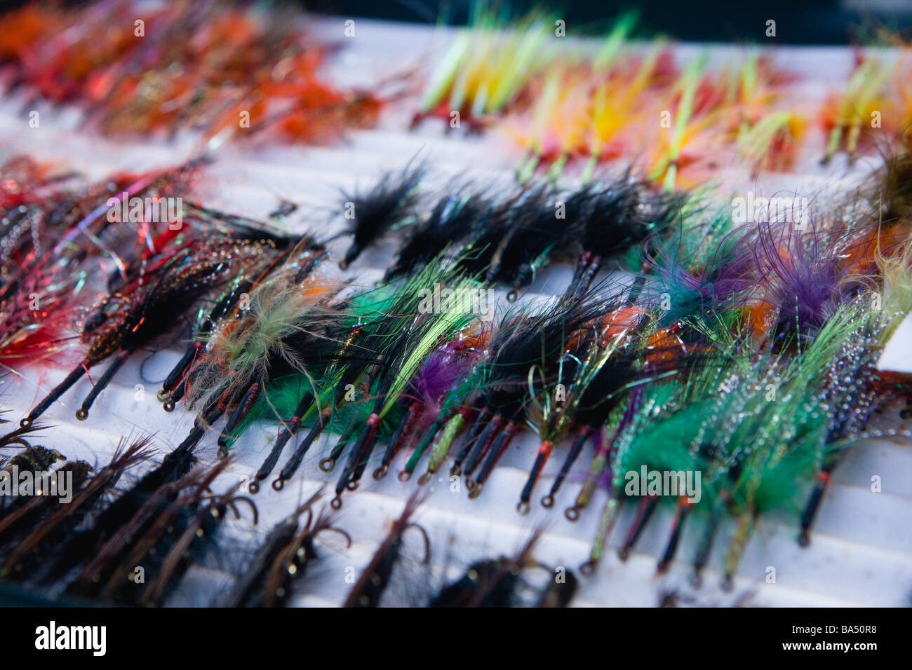 Row feathers hi-res stock photography and images - Alamy
