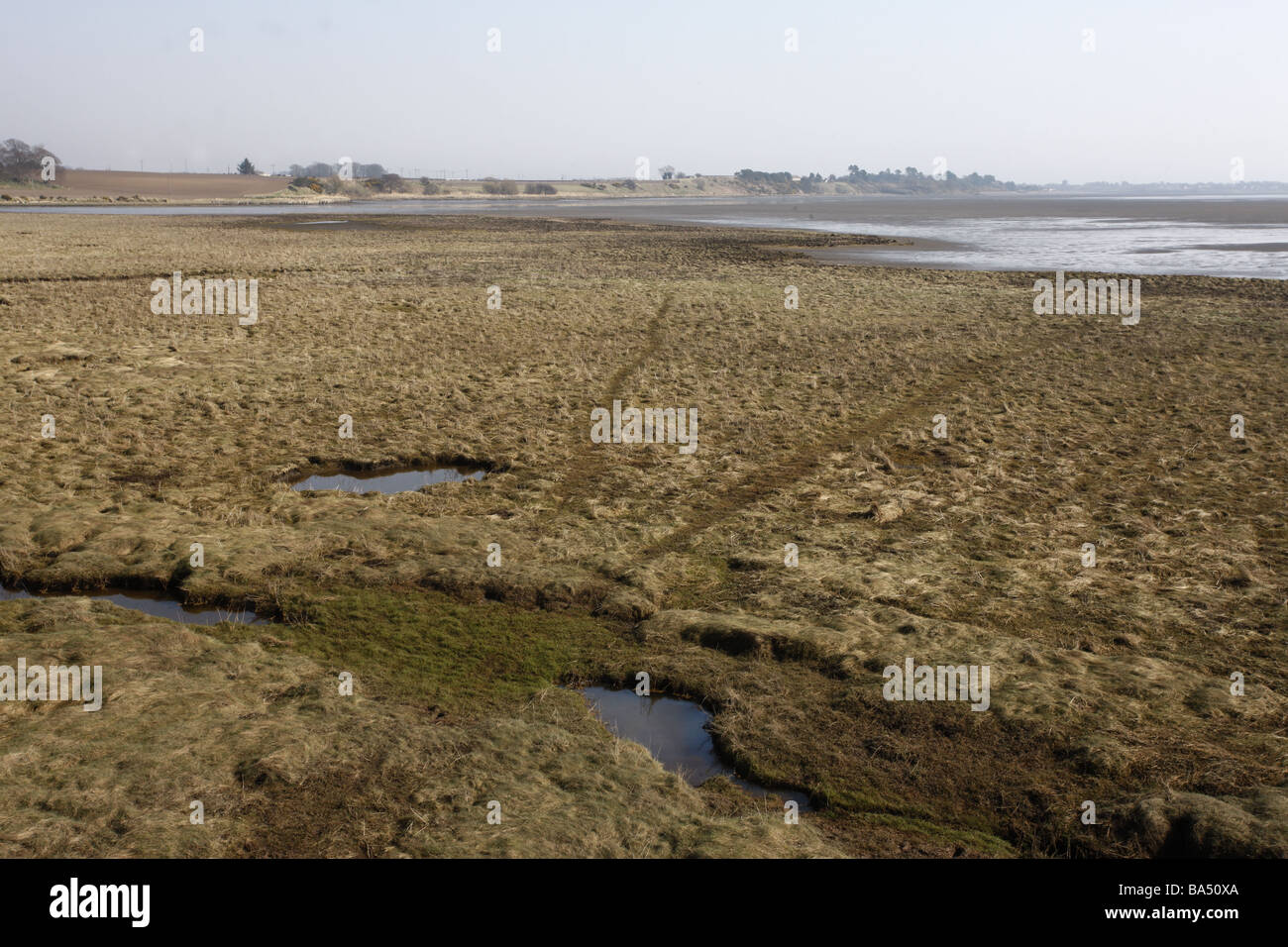 Montrose basin view from Teal hide Stock Photo - Alamy
