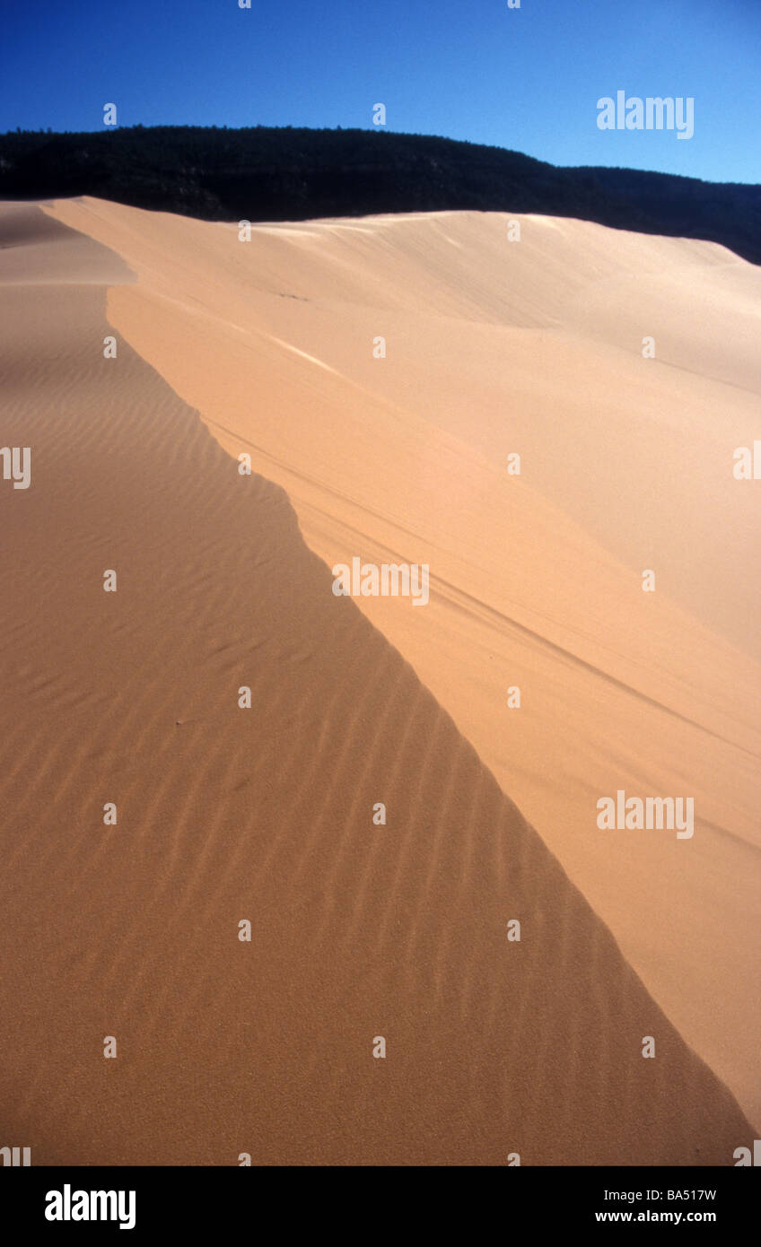 steep sand dune slope desert wilderness landscape state American park ...