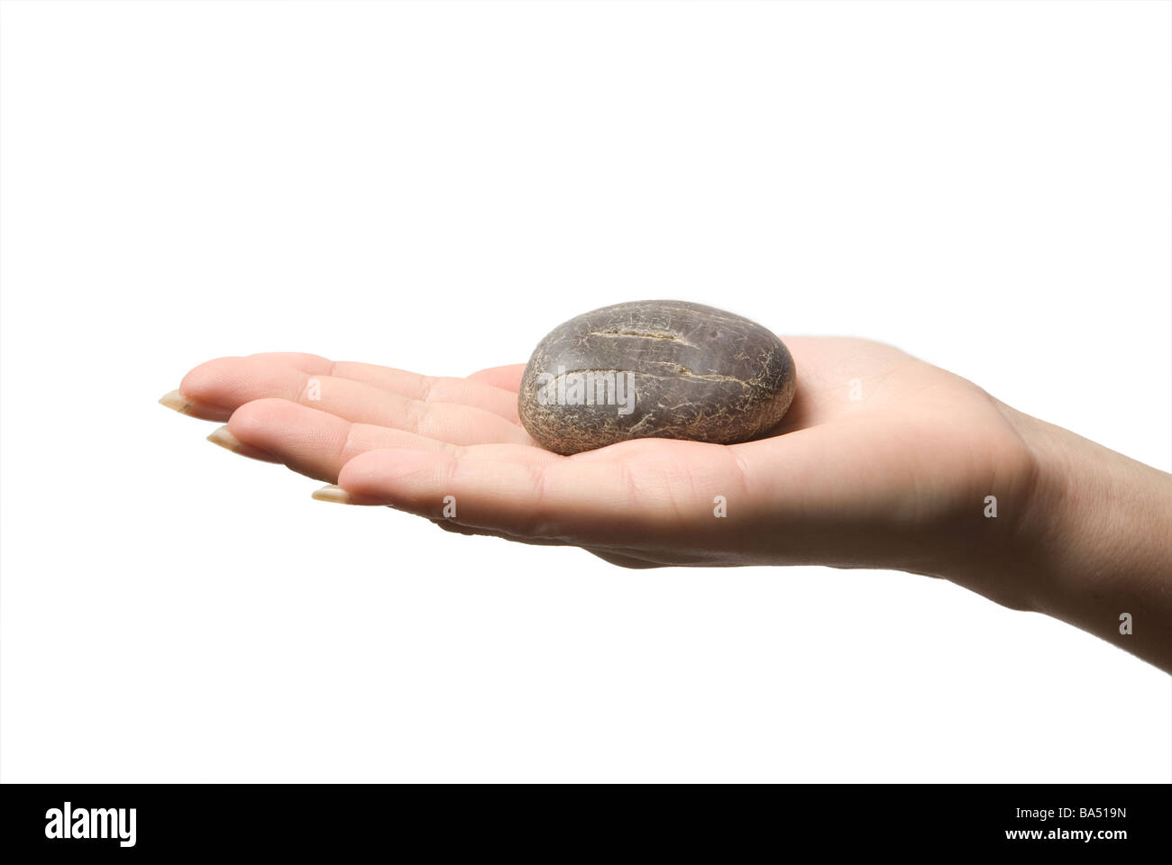 Hand holding a pebble stone against a white background Stock Photo - Alamy