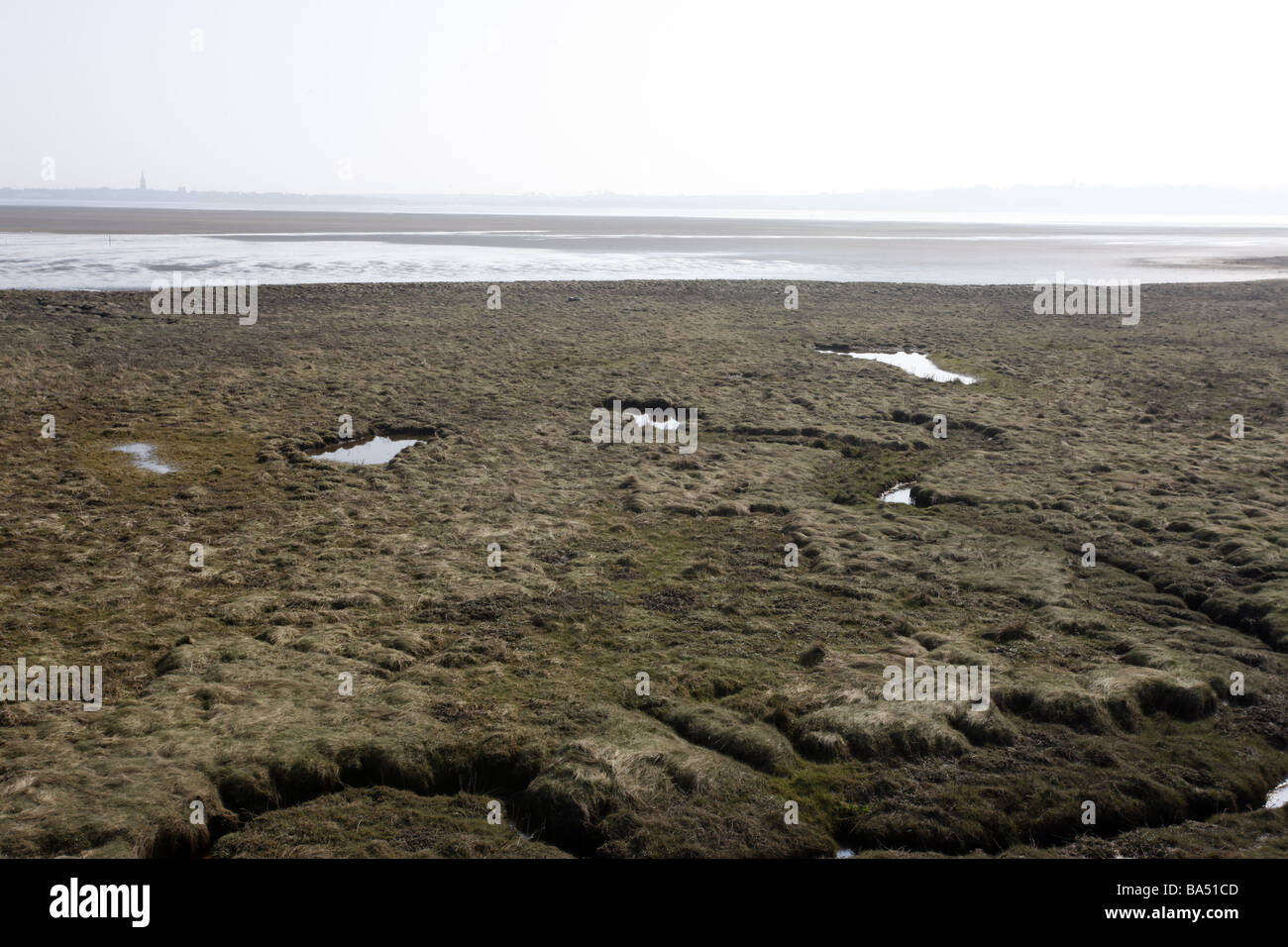 Montrose basin view from Teal hide Stock Photo - Alamy