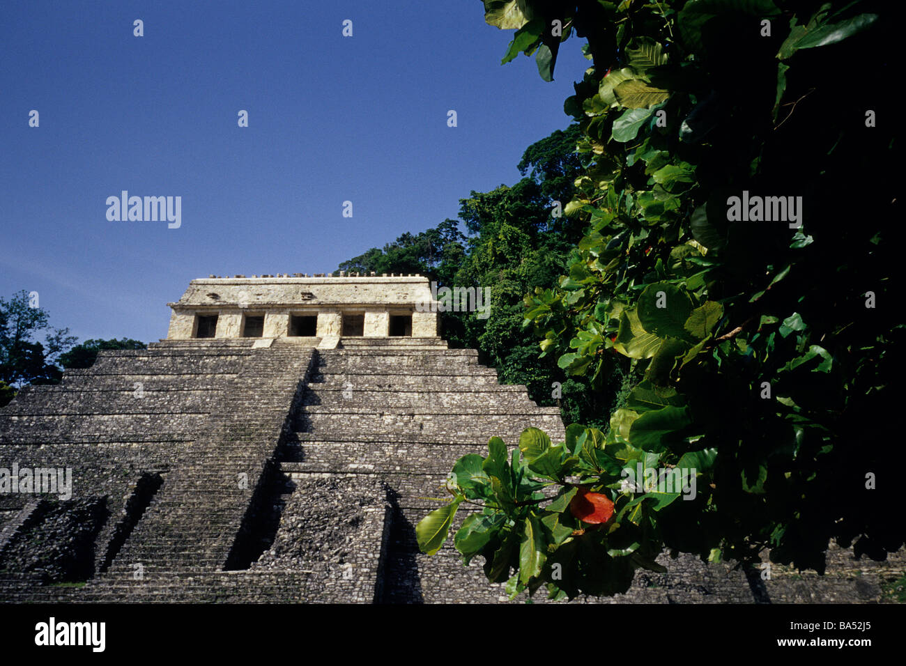 Palenque temple of the inscriptions tomb of pacal hi-res stock ...