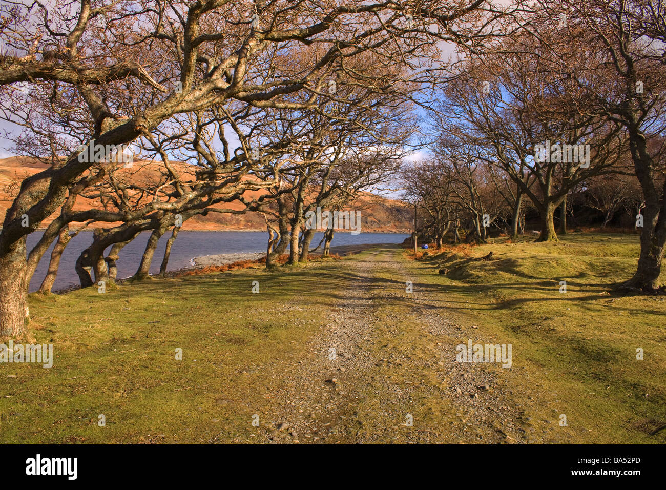 Loch side track along Loch Spelve at Croggan Isle of Mull Stock Photo ...