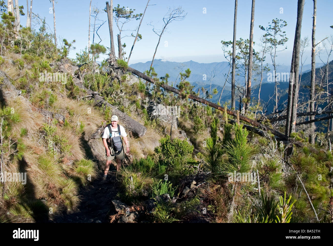 Pico duarte dominican republic hi-res stock photography and images - Alamy