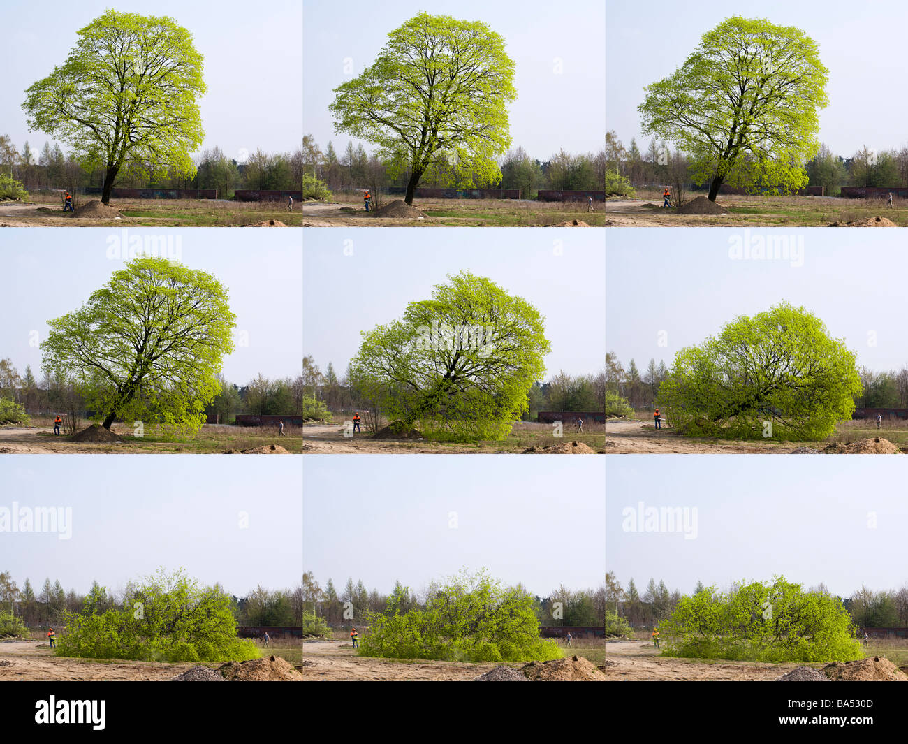 Time cut hi-res stock photography and images - Alamy