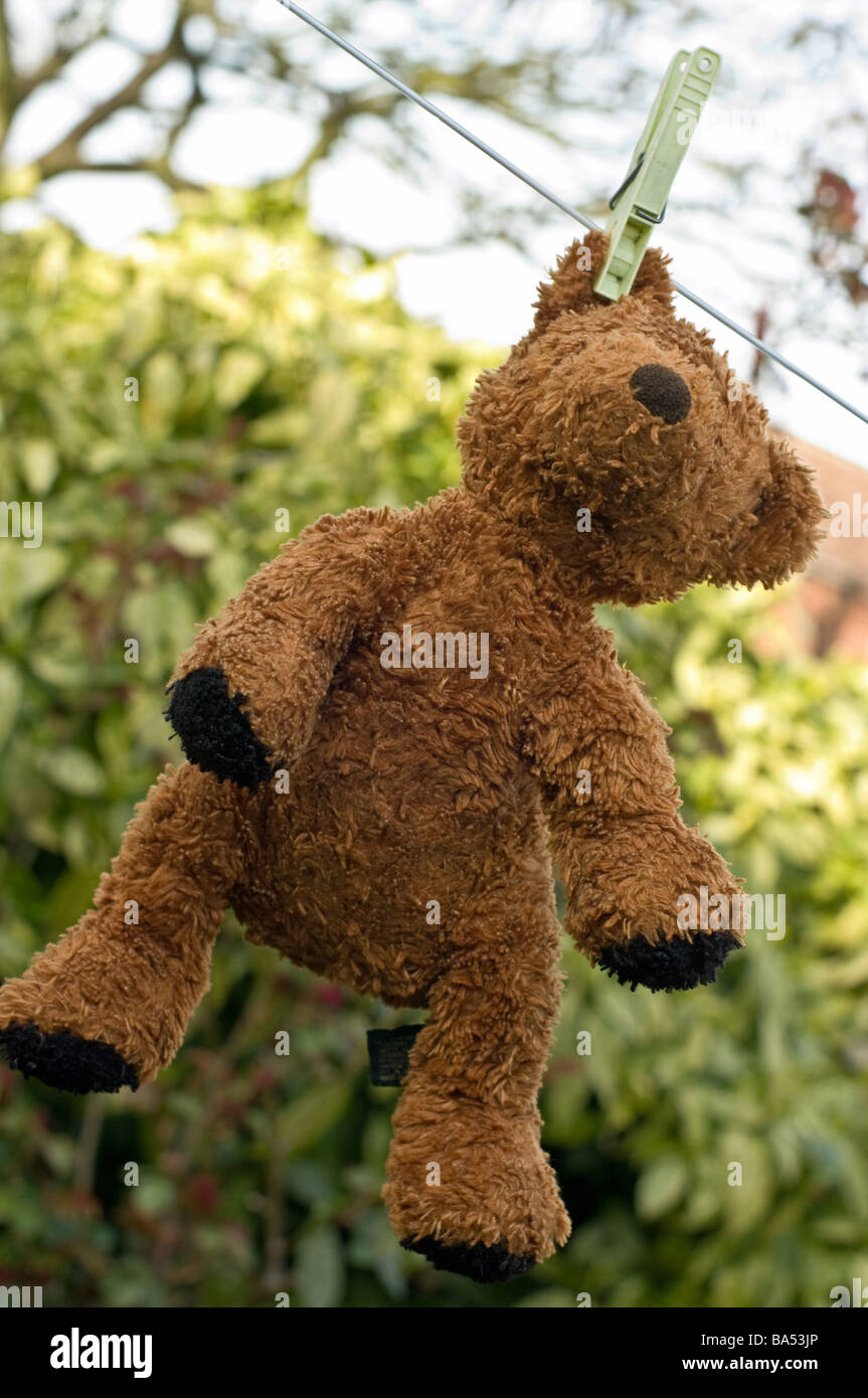 Wash Bear High Resolution Stock Photography and Images - Alamy