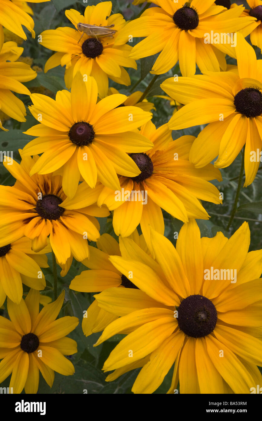 Washington based hi-res stock photography and images - Alamy