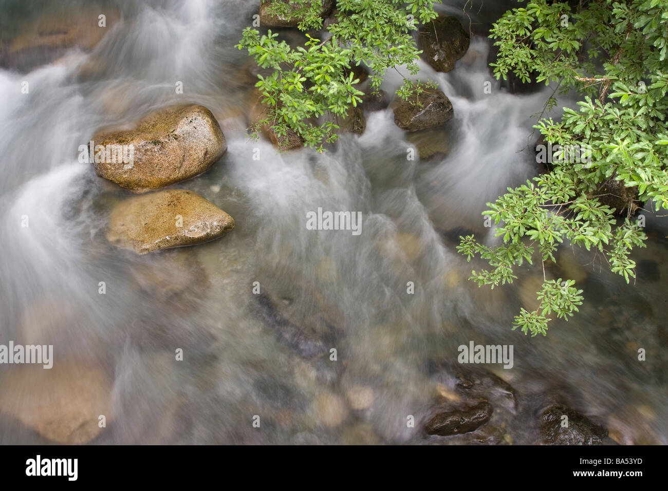 Cascades national park hi-res stock photography and images - Alamy