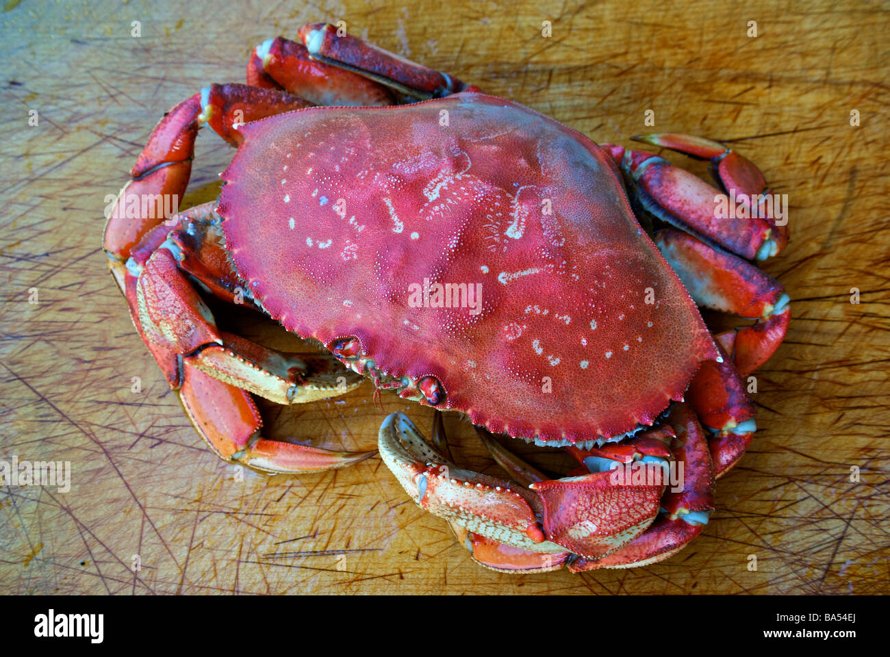 Whole crab hi-res stock photography and images - Alamy