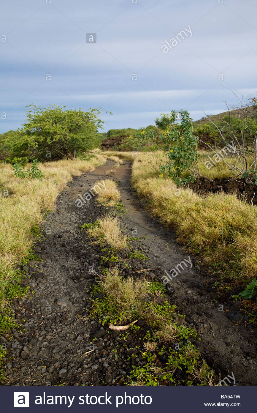 The Ancient Road High Resolution Stock Photography and Images - Alamy