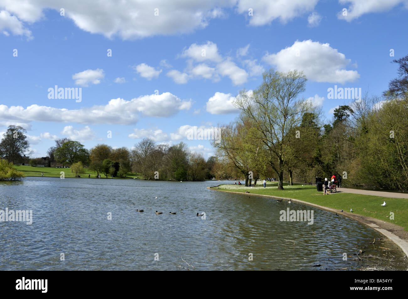 Verulamium park uk hi-res stock photography and images - Alamy