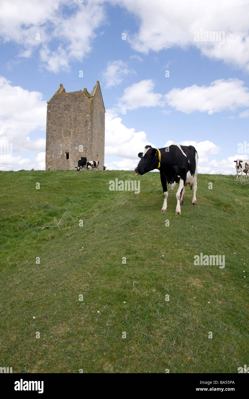 Dovecot High Resolution Stock Photography and Images - Alamy