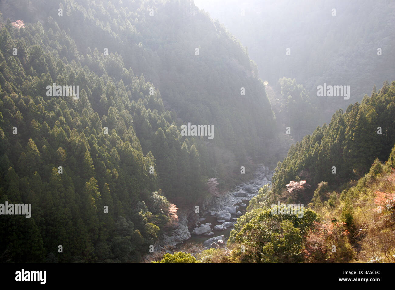 Iya Vally Japan Stock Photo - Alamy