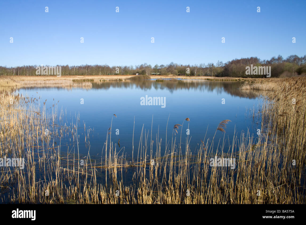 View acroos Willow Pool towards the Field Centre at Potteric Carr ...