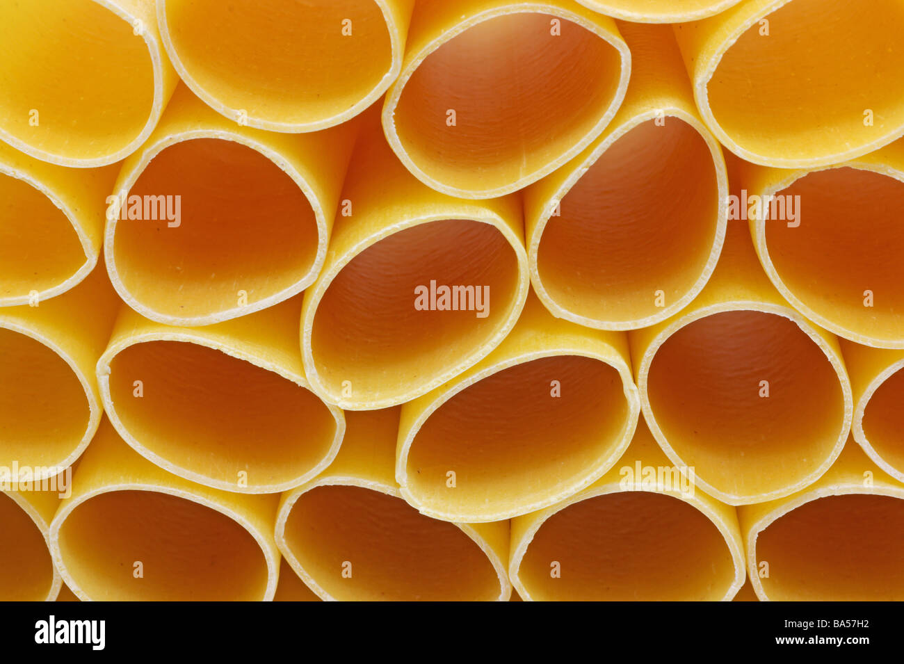 Oval shaped shells hi-res stock photography and images - Alamy