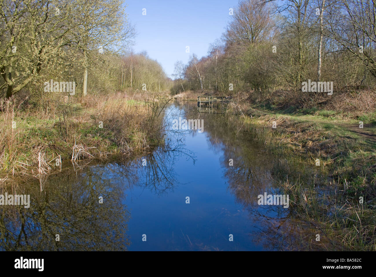 Loversall Delph at Potteric Carr Nature Reserve Stock Photo - Alamy