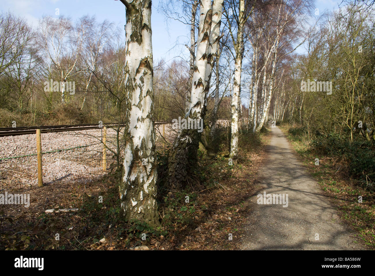 Footpath along Hawthorn Bank and railway line at Potteric Carr Nature ...