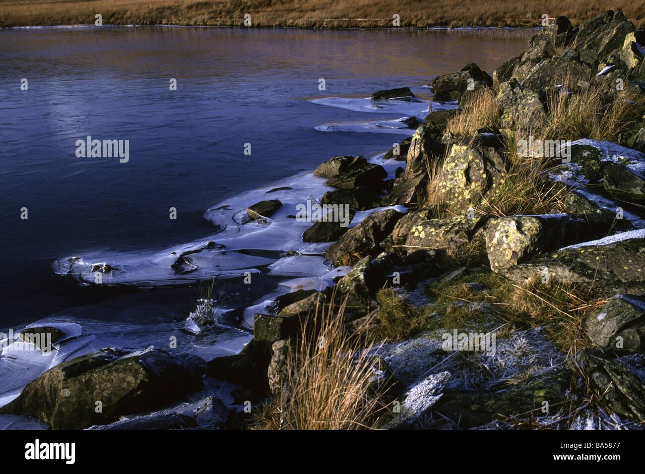Ice patterns with rocks and reeds. Skeggles Water, Lake District ...