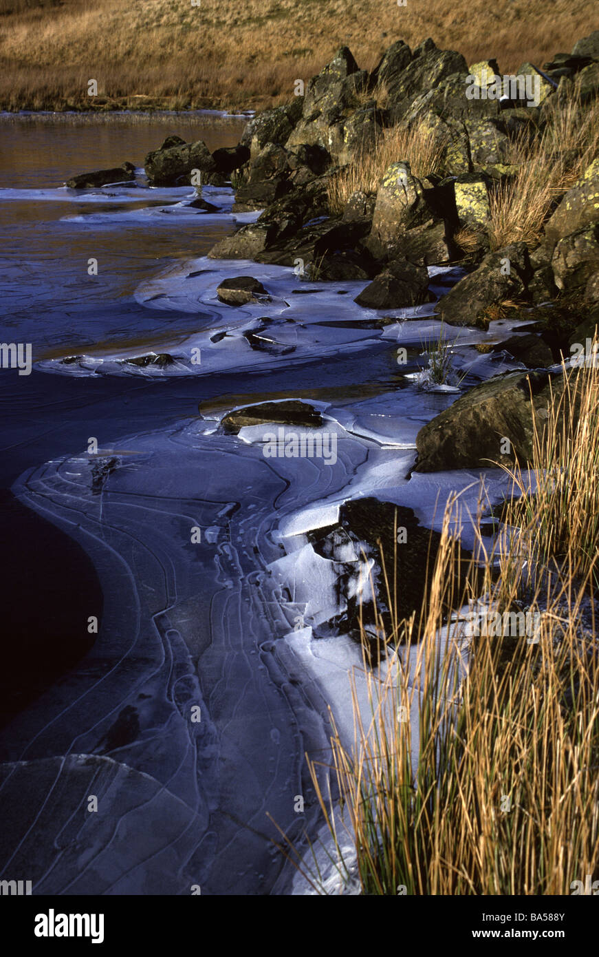 Ice patterns with rocks and reeds. Skeggles Water, Lake District ...