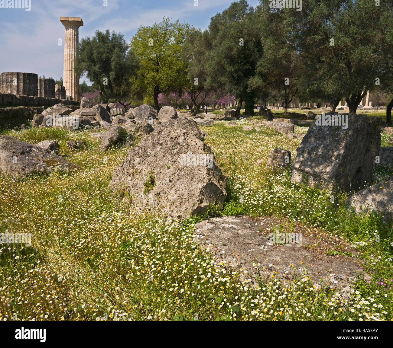 Fallen column drums amongst the spring wild flowers at the Temple of ...